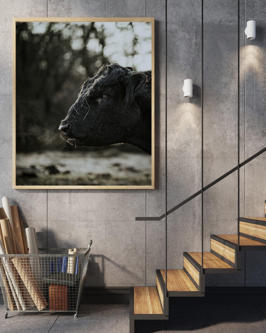 Black and White Rodeo Bull Western Moody Wall Art/photograph ...