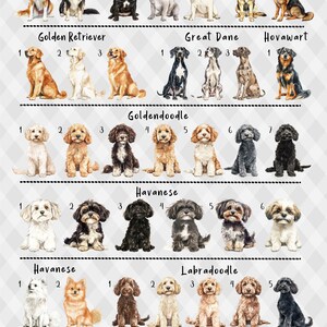 Personalized Welcome Dog Breed Garden Flag,custom Pet With Goldendoodle ...