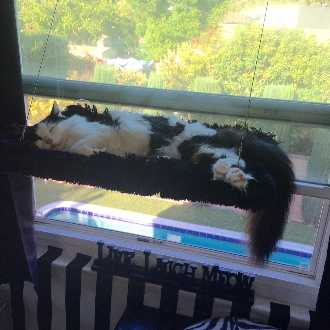 Grey, Black, Faux Fur - Curious Cats Window Perch - Etsy