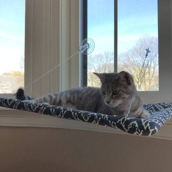 Cat Window Perch - Etsy