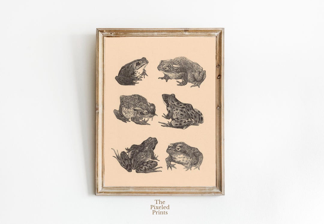 Vintage Frog Illustration Art Print: Natural History Decor (digital ...
