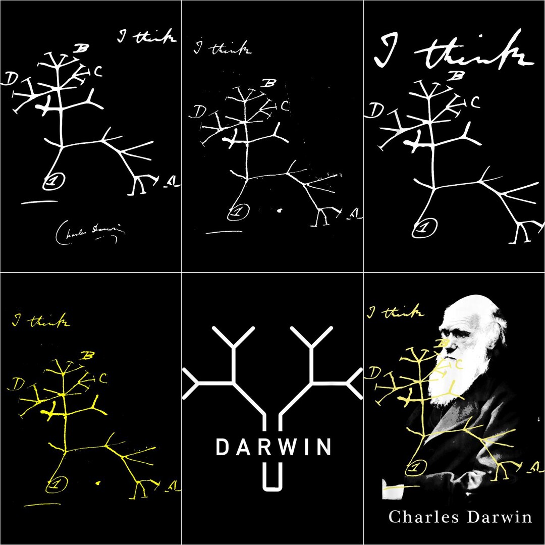 Darwin Tree PNG Designs – Inspirational Digital Download Featuring ...