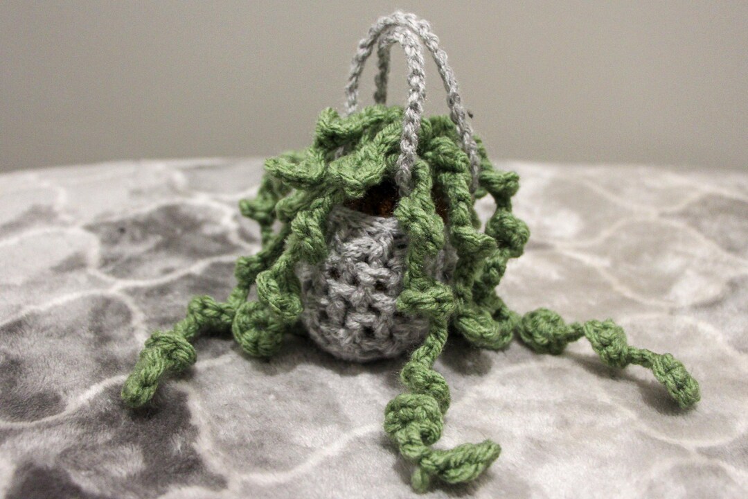 Hanging Pearl Plant - Etsy