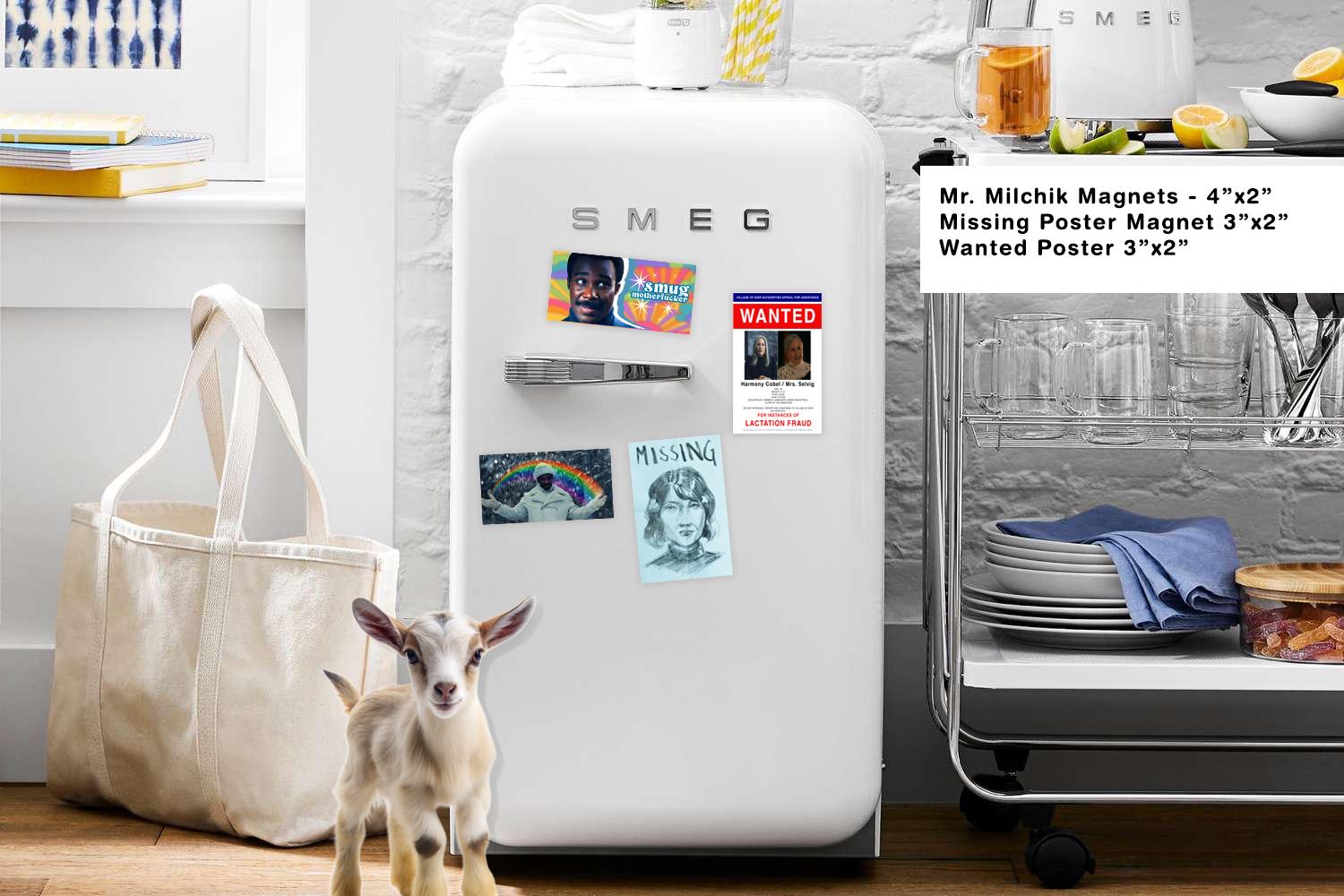 Ms. Casey Missing Poster Severance Inspired Magnet - Etsy