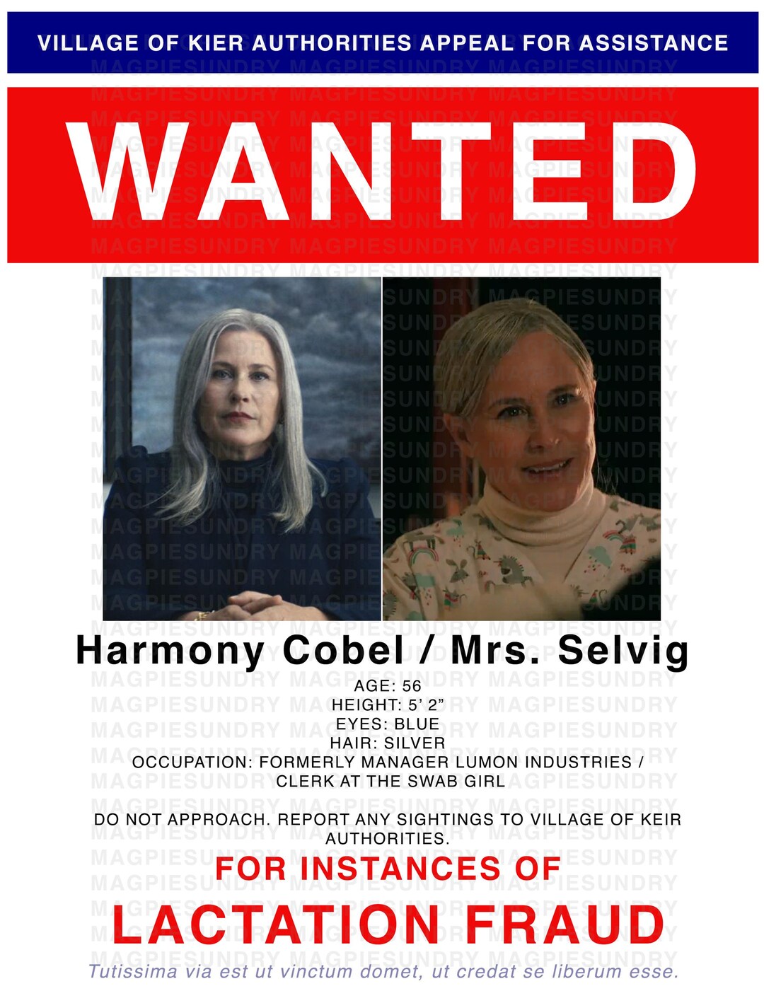 Lactation Fraud Severance Inspired Magnet - Etsy