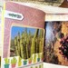 Cactus Theme Journal - Etsy