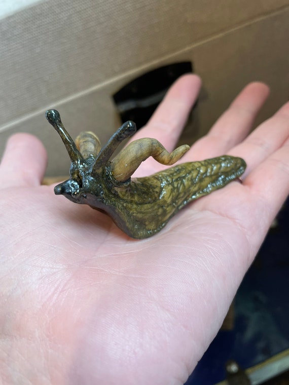 Horned Slug - Etsy
