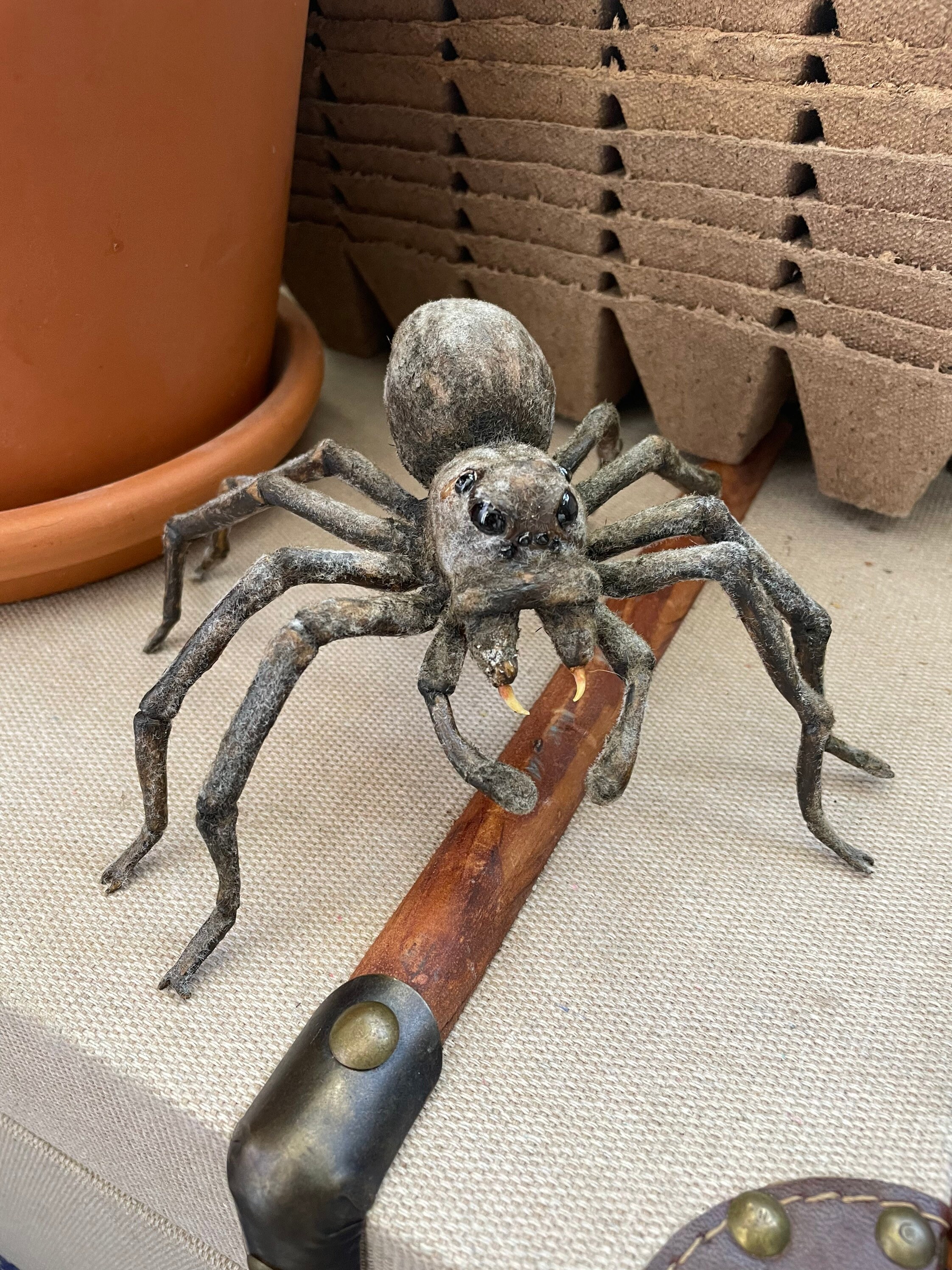 Baby Giant Magical Spider - Etsy