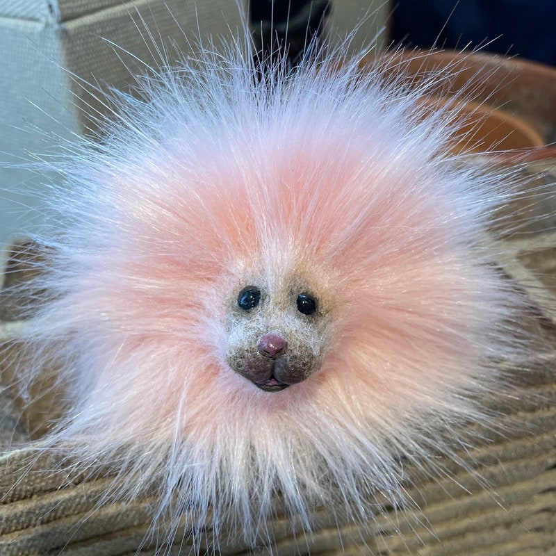 Pygmy Puff - Etsy