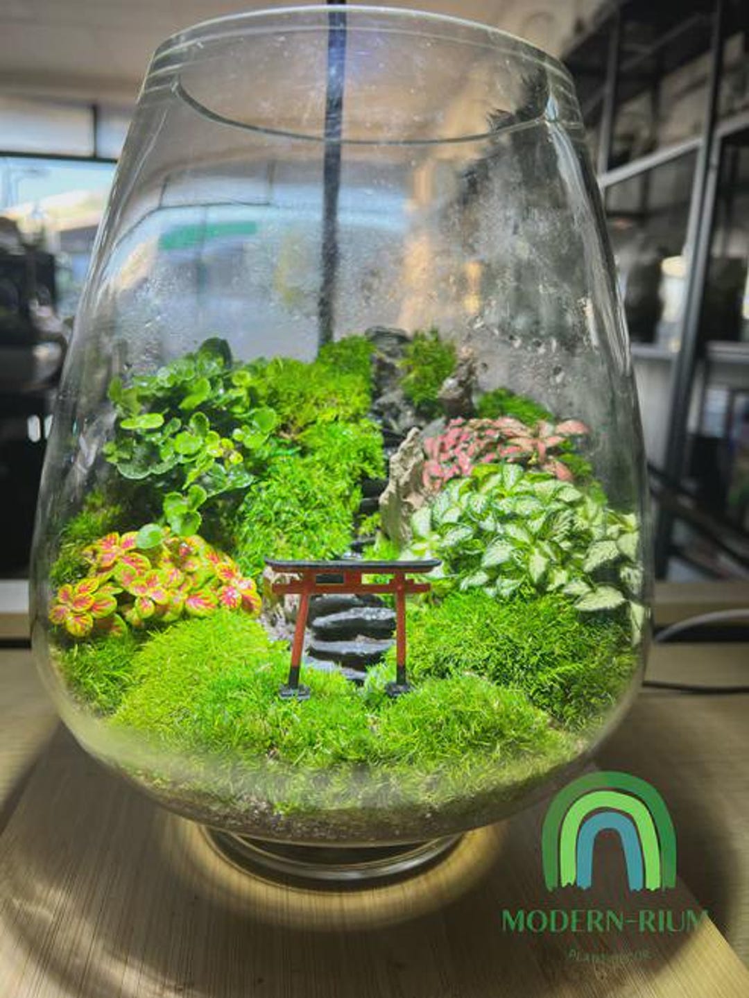 Torii Gate Mountain Terrarium- Ecocourier Series - Ready Made Terrarium ...