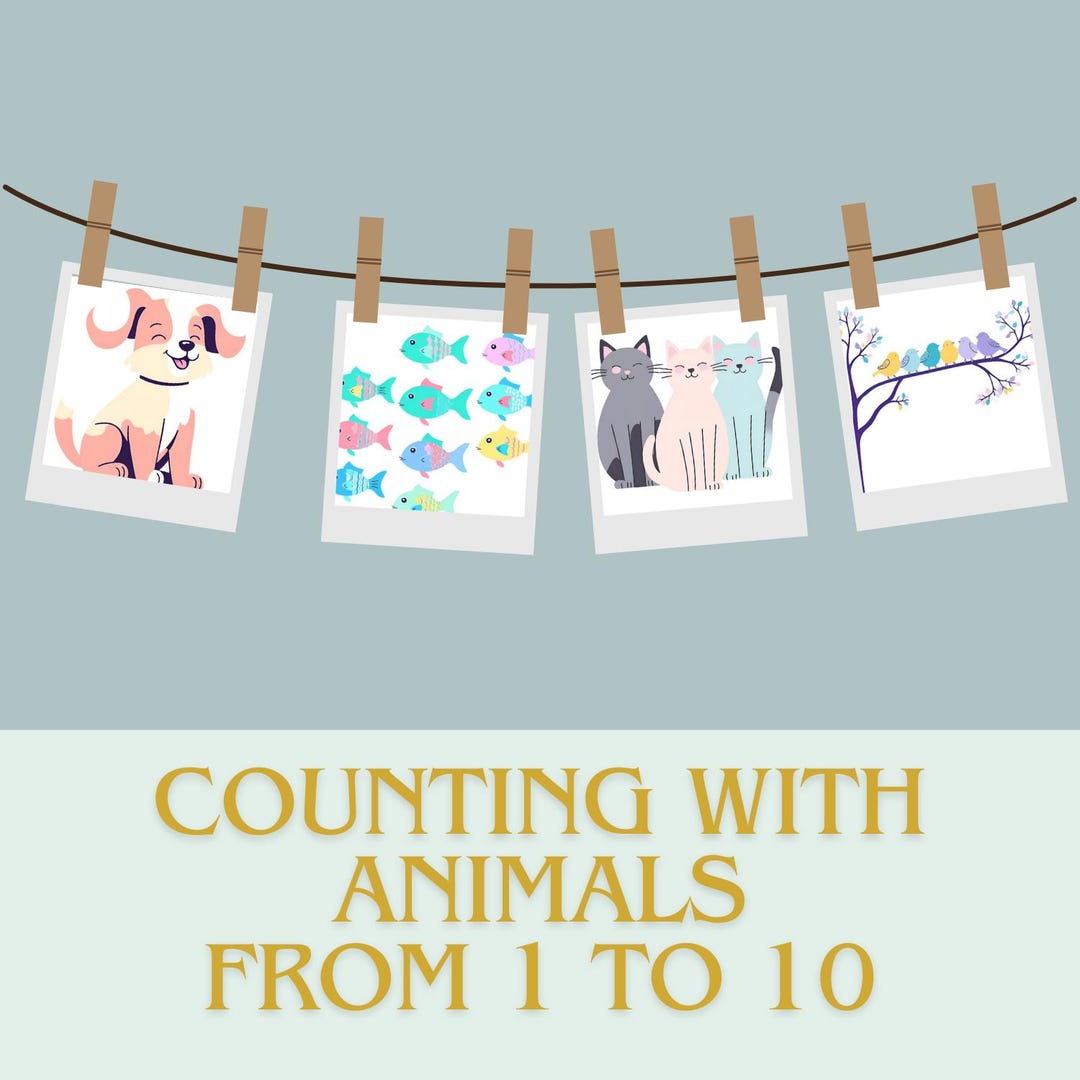 20 Montessori Animal & Number Flashcards | Fun Matching Learning Tool ...