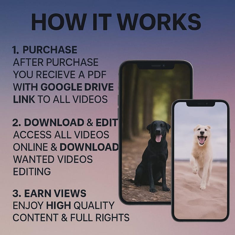 Dog Video Clips Bundle – 3000 Funny Reels for Tiktok, Instagram ...