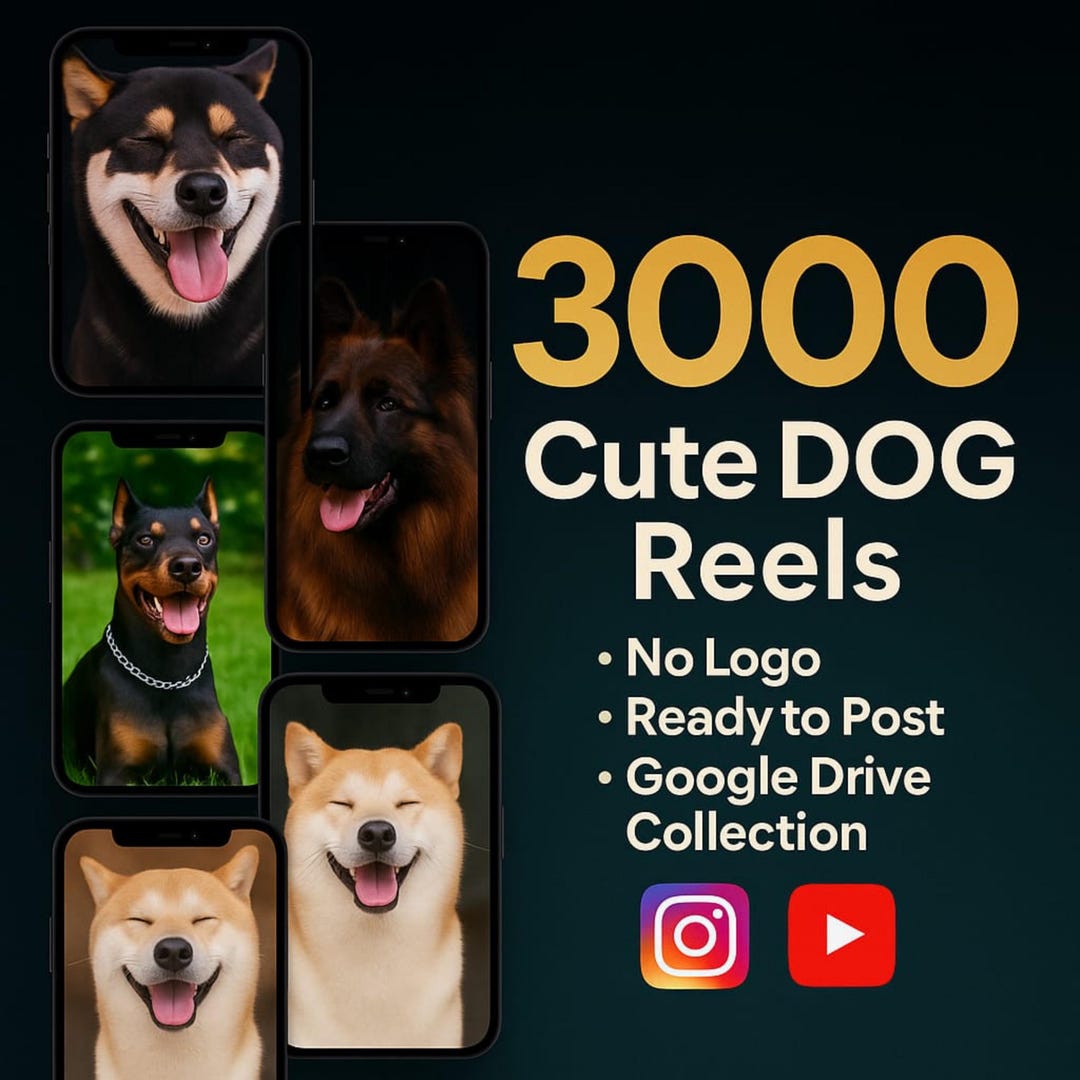 Dog Video Clips Bundle – 3000 Funny Reels for Tiktok, Instagram ...