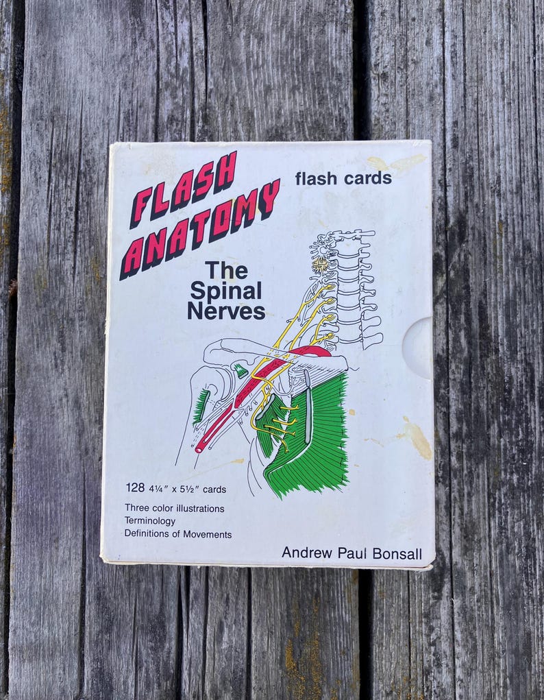 Flash Anatomy the Spinal Nerves by Andrew Paul Bonsall 1991 First ...