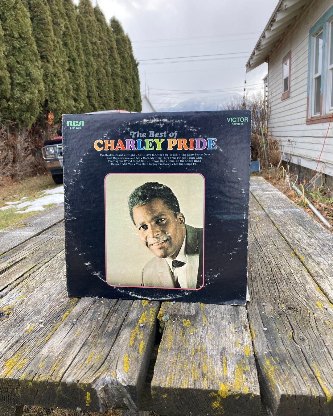 The Best of Charley Pride LP Vinyl Record Album 1969 Vintage - Etsy