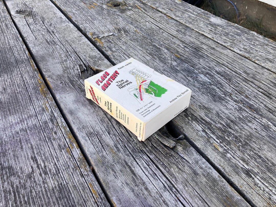 Flash Anatomy the Spinal Nerves by Andrew Paul Bonsall 1991 First ...