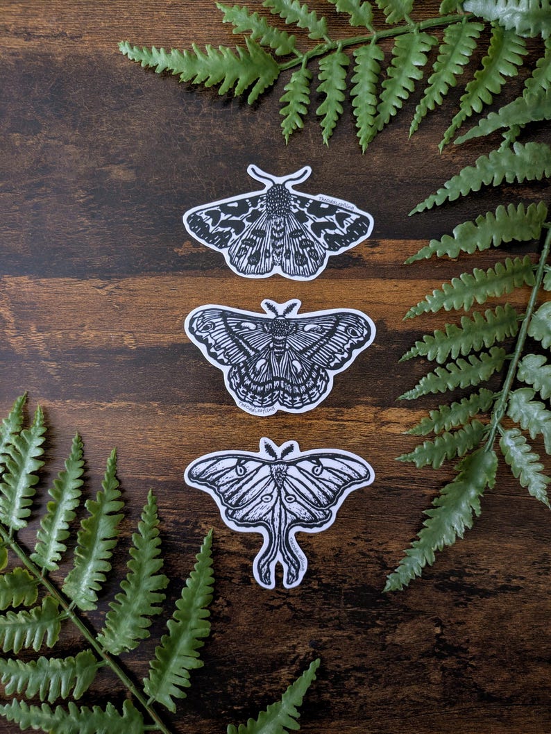 Linocut Moth Stickers (vinyl) - Etsy
