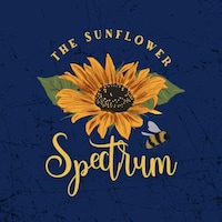 Sitting in My Seat Social Story | Rules for School | Classroom Manners ...