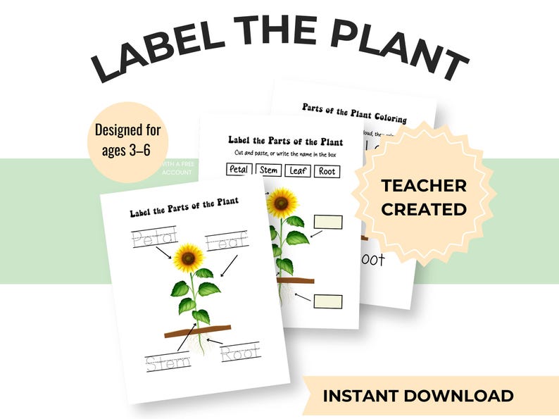 Parts of a Plant Worksheet for Preschool Science Activity for Kids ...