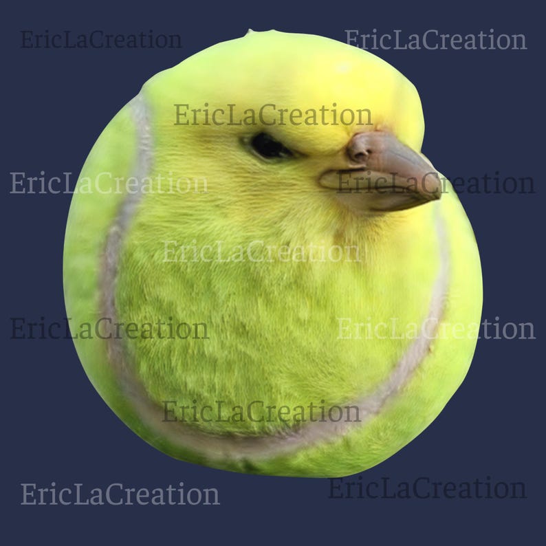 Silly Tennis Bird Meme Brainrot Gen Z Png, Oddly Specific Png, Unhinged ...