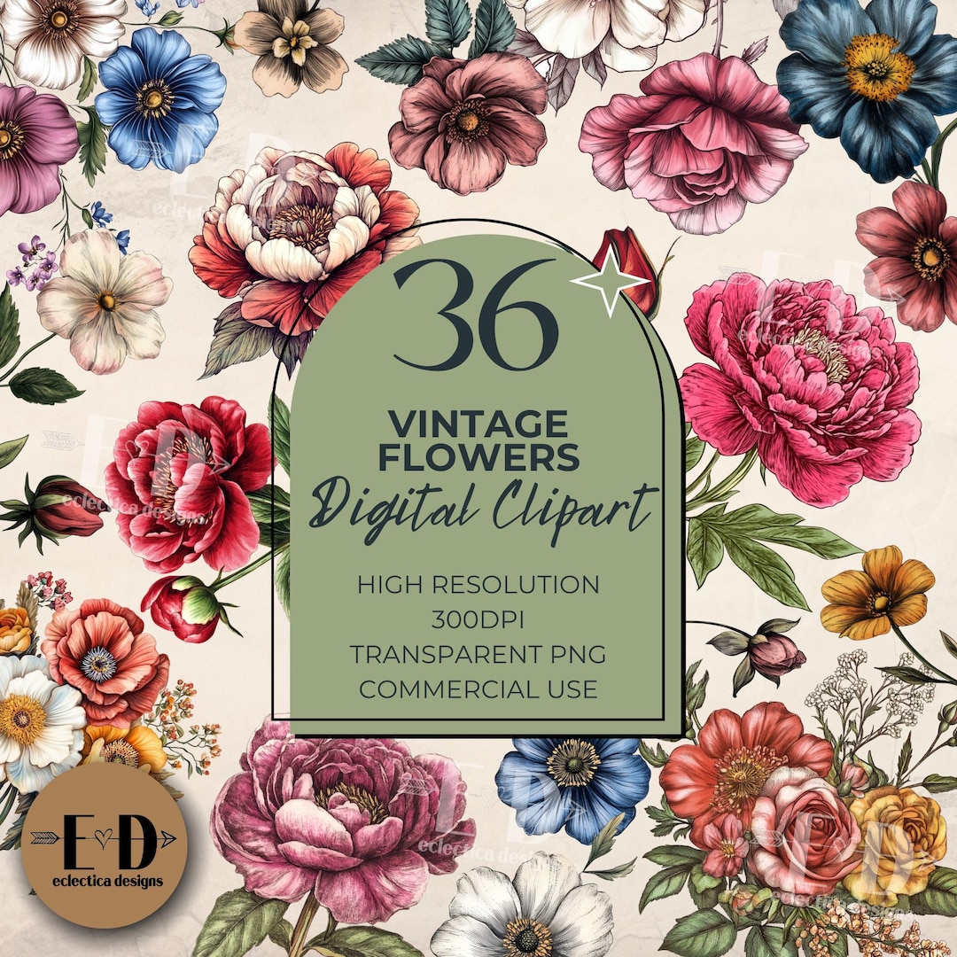 Vintage Flower Clipart for Commercial Use, Transparent PNG, Floral ...