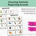 Animal Beginning Sounds Activity Sheet, Amazing Animals Alphabet ...