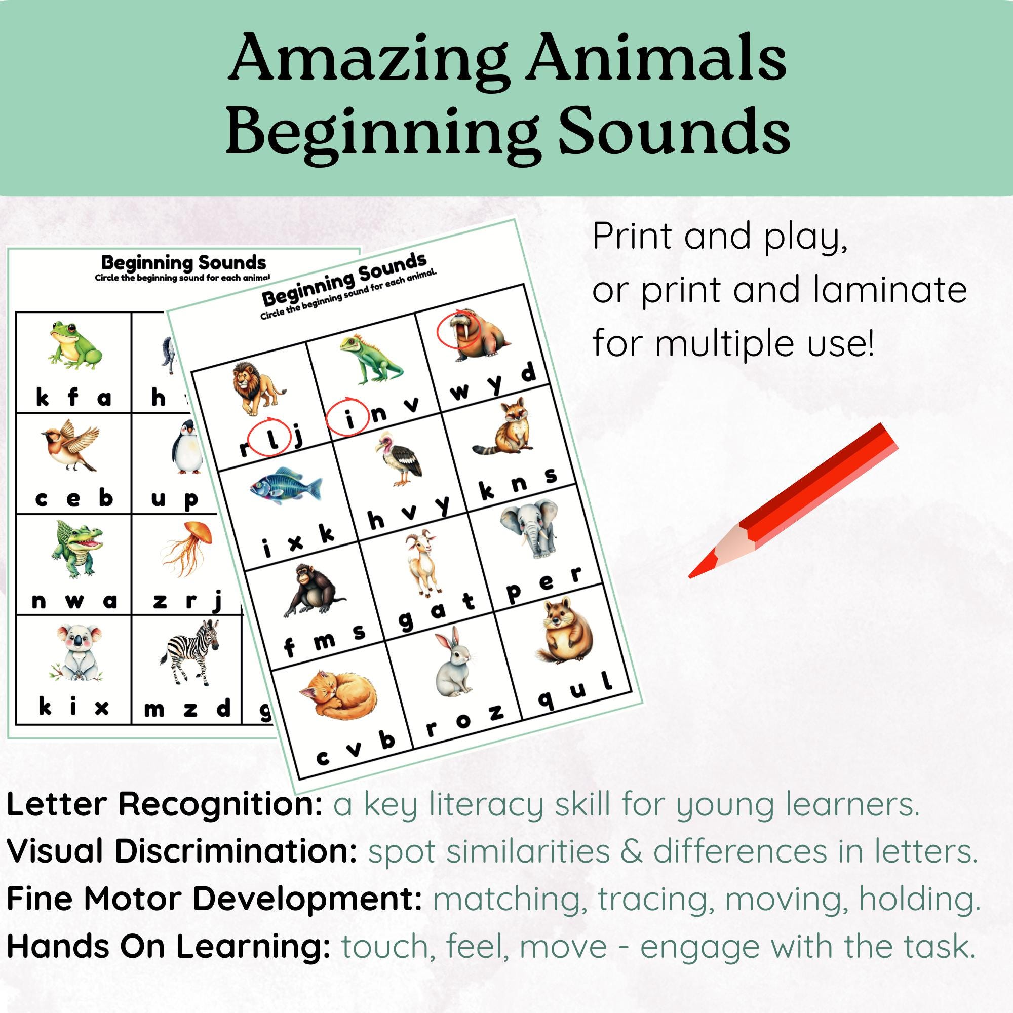 Animal Beginning Sounds Activity Sheet, Amazing Animals Alphabet ...