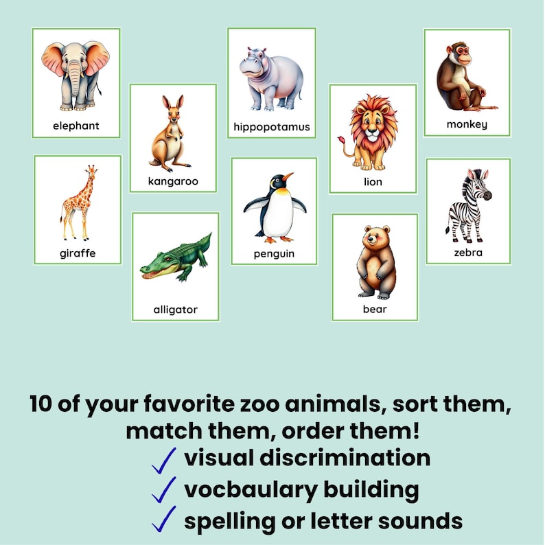 Zoo Animal Flash Cards, Zoo Animal Vocabulary, Flash Cards for Toddlers ...