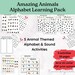 Animal Beginning Sounds Activity Sheet, Amazing Animals Alphabet ...