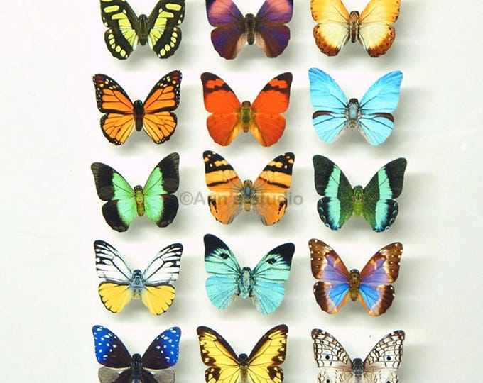 Small Realistic Paper Butterflies, 1 Inch Printed Paper Butterflies Mix ...
