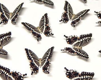 Fake butterflies | Etsy