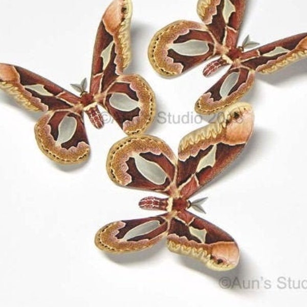 Realistic Fake Moth - Etsy