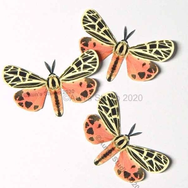 Realistic Fake Moth - Etsy