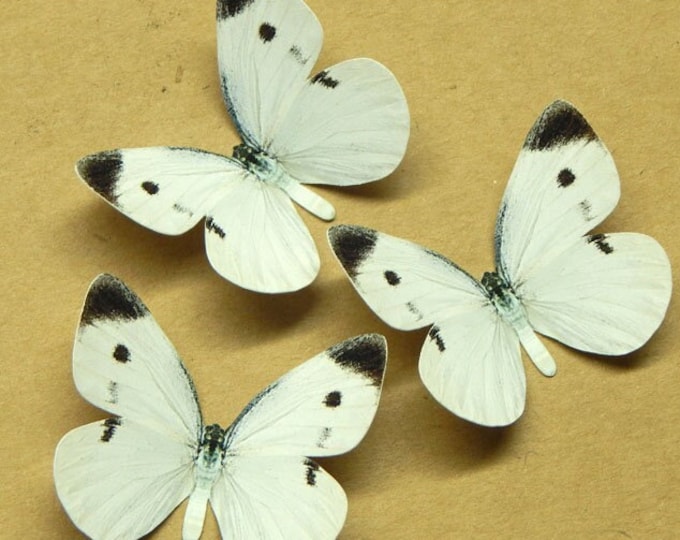 Cabbage White Paper Butterflies, Set of Three - Etsy