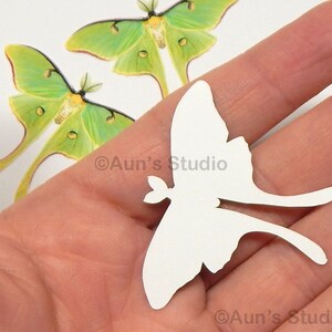 Small Luna Moth Paper Cutouts Set of Three Pieces One Sided - Etsy