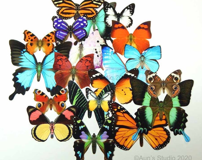 Realistic Paper Butterfly Cutouts - 20 Pieces - Etsy