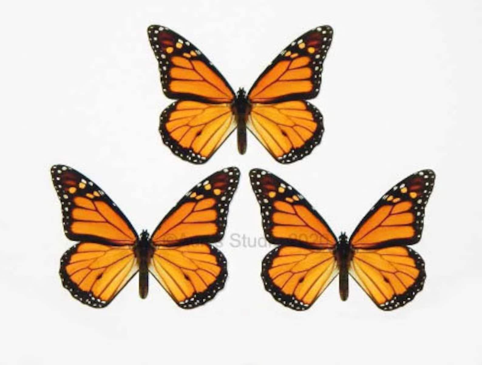 Monarch Butterfly Large Paper Cutouts 3 Pieces - Etsy