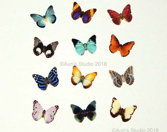 Paper butterflies | Etsy