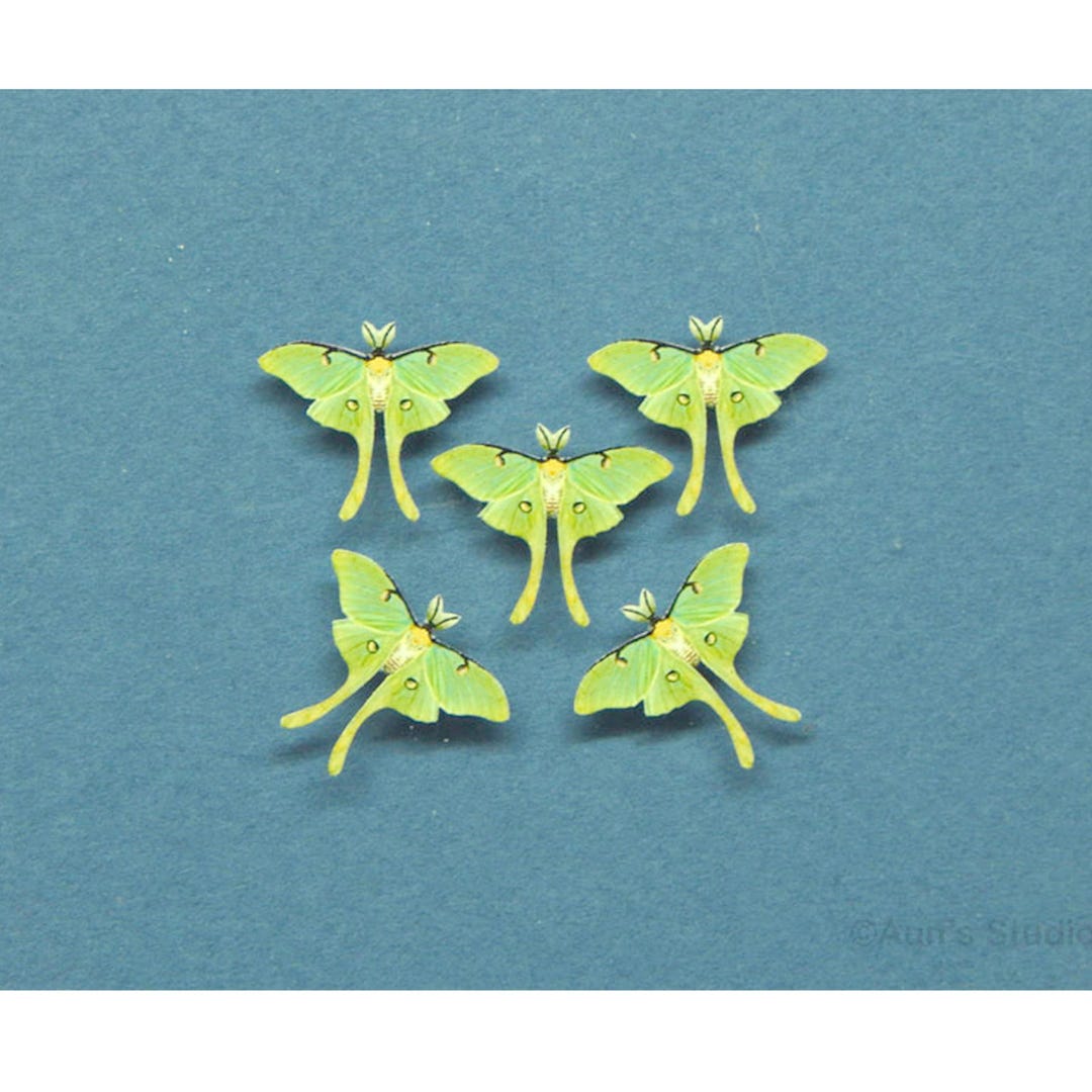LUNA MOTH Tiny Paper Cutouts, 5 Pieces, Single Sided Less Than 1 Inch ...