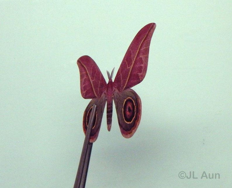 Realistic Paper Moth Cutouts, Double Sided, Pink Silk Moth 3 Pieces - Etsy