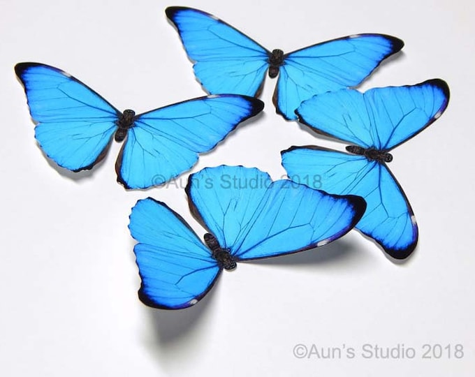 Blue Butterfly Paper Cutouts Realistic Morpho Butterfly Mockup, 4 ...