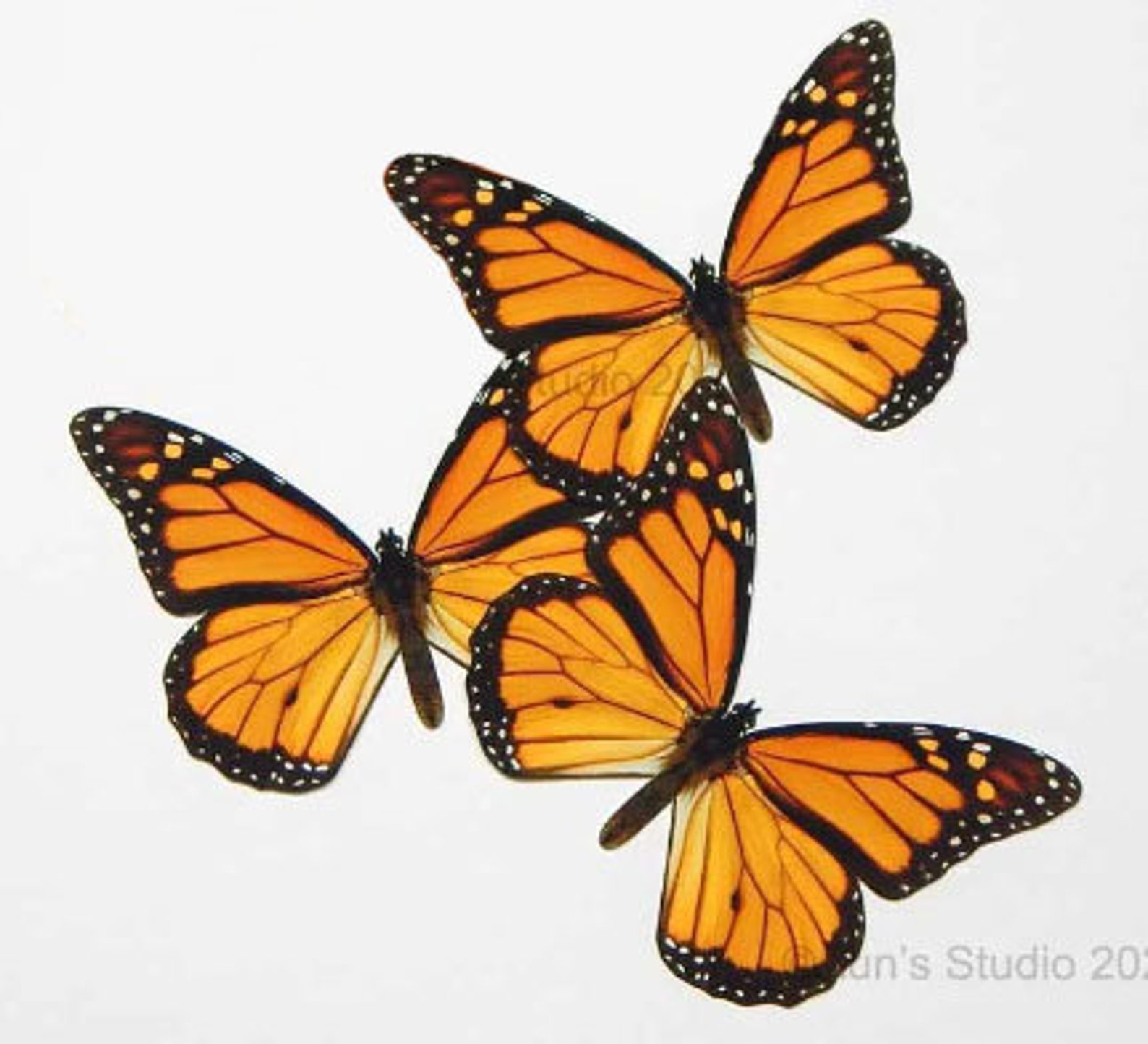 Monarch Butterfly Large Paper Cutouts 3 Pieces - Etsy