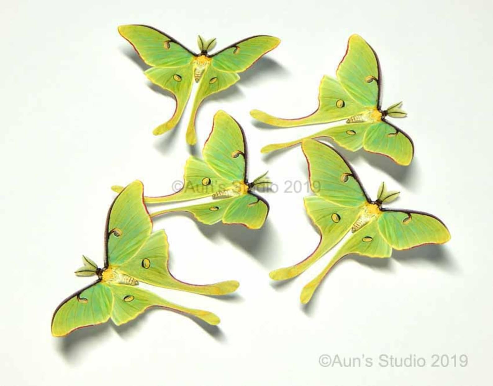 Medium Luna Moth Paper Cutouts, Realistic Paper Moths, 5 Pieces, One ...