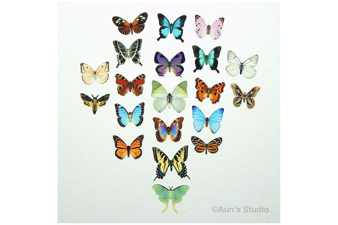 Miniature Paper Butterfly Pack 20 Pieces, One Sided, Realistic Colors ...