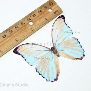 Light Blue Paper Butterflies 10 Pieces Single Sided Cutouts - Etsy