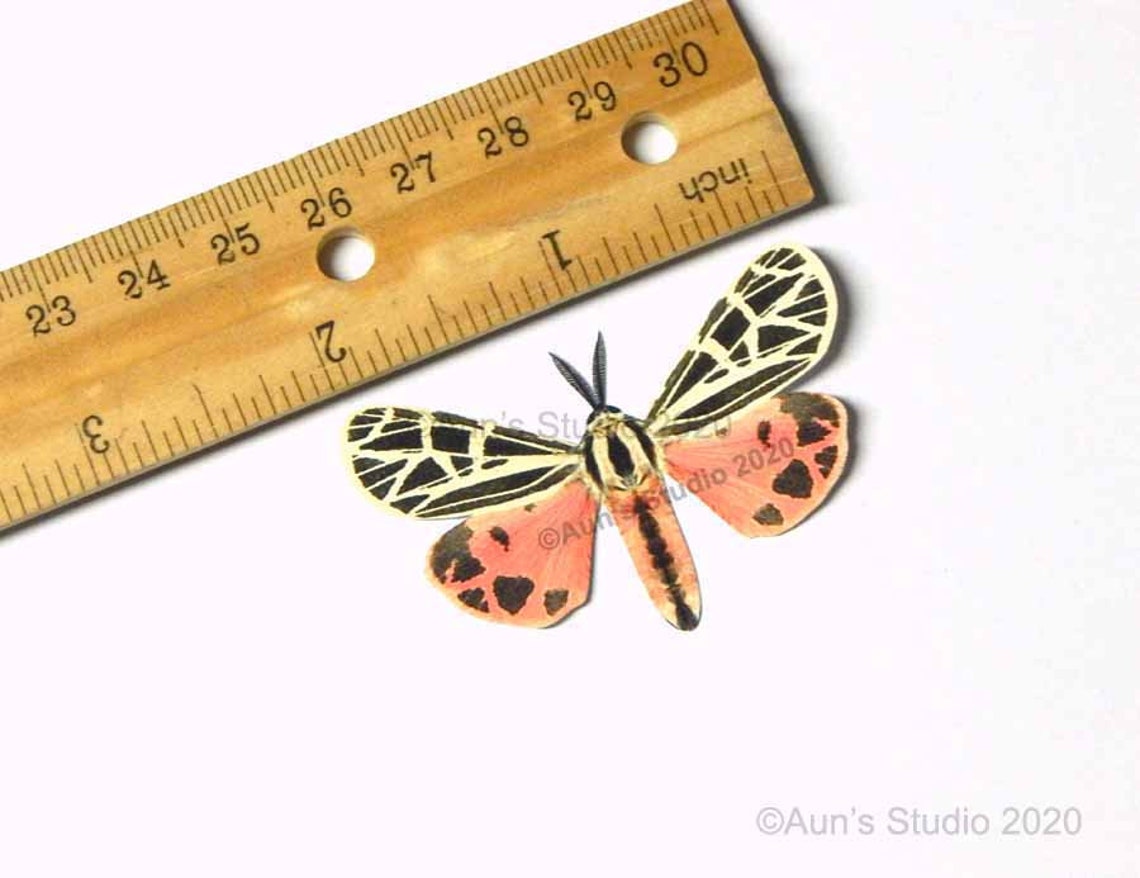 Realistic Paper Moth Cutouts Rose Colored Paper Moths - Etsy