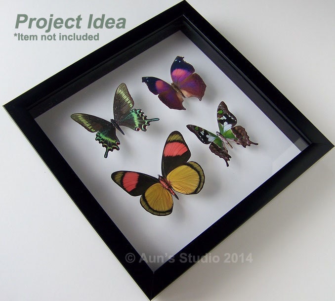 Realistic Paper Butterflies Ready to Use Cut Outs 10 Pieces - Etsy
