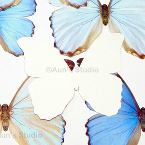Light Blue Paper Butterflies 10 Pieces Single Sided Cutouts - Etsy