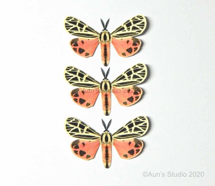 Realistic Paper Moth Cutouts Rose Colored Paper Moths - Etsy