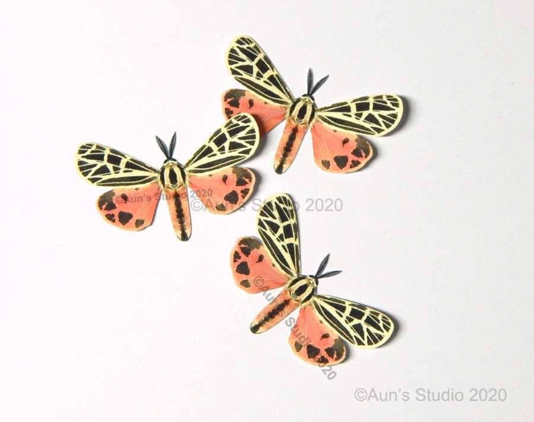 Realistic Paper Moth Cutouts Rose Colored Paper Moths, Virgin Tiger ...